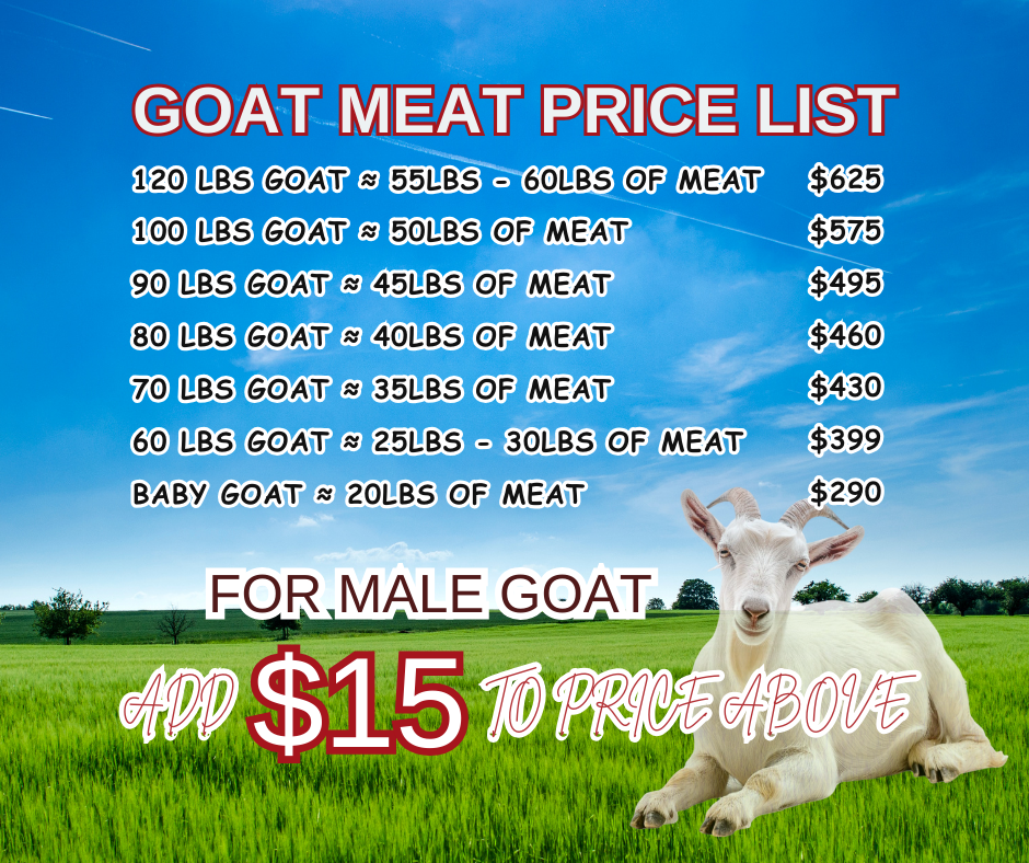 Whole Live Goat for Meat - Slaughter Goats Grass Fed | Oba Farms