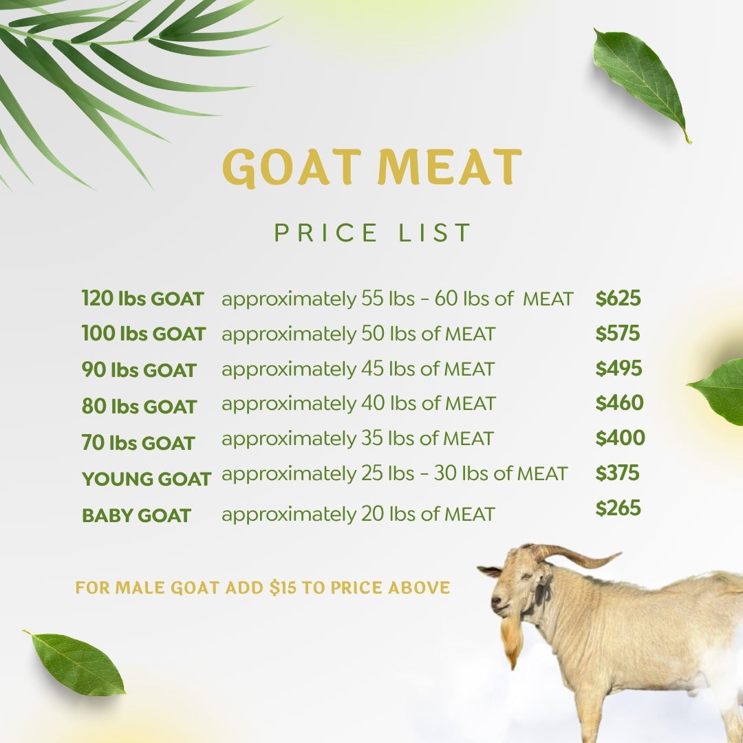 Whole Live Goat for Meat - Slaughter Goats Grass Fed | Oba Farms