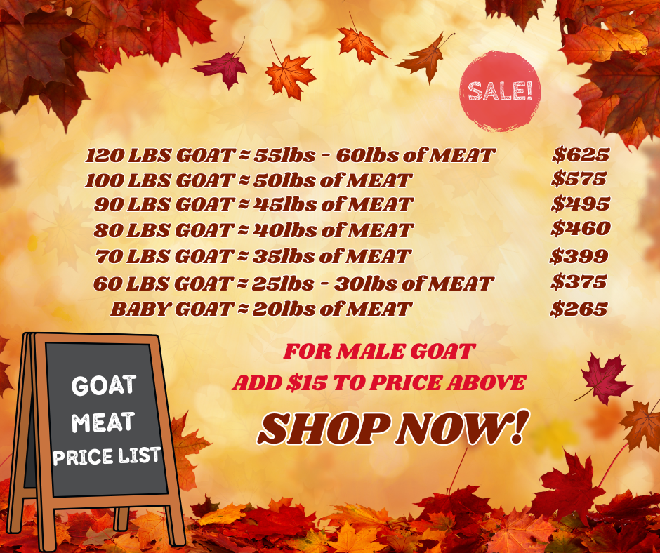 Whole Live Goat for Meat - Slaughter Goats Grass Fed | Oba Farms