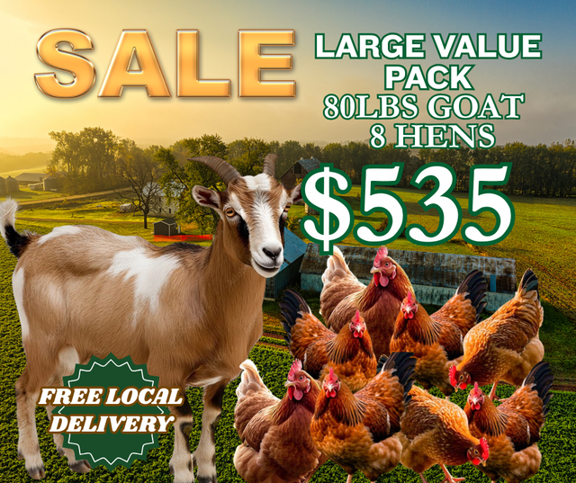 Whole Live Goat for Meat - Slaughter Goats Grass Fed | Oba Farms